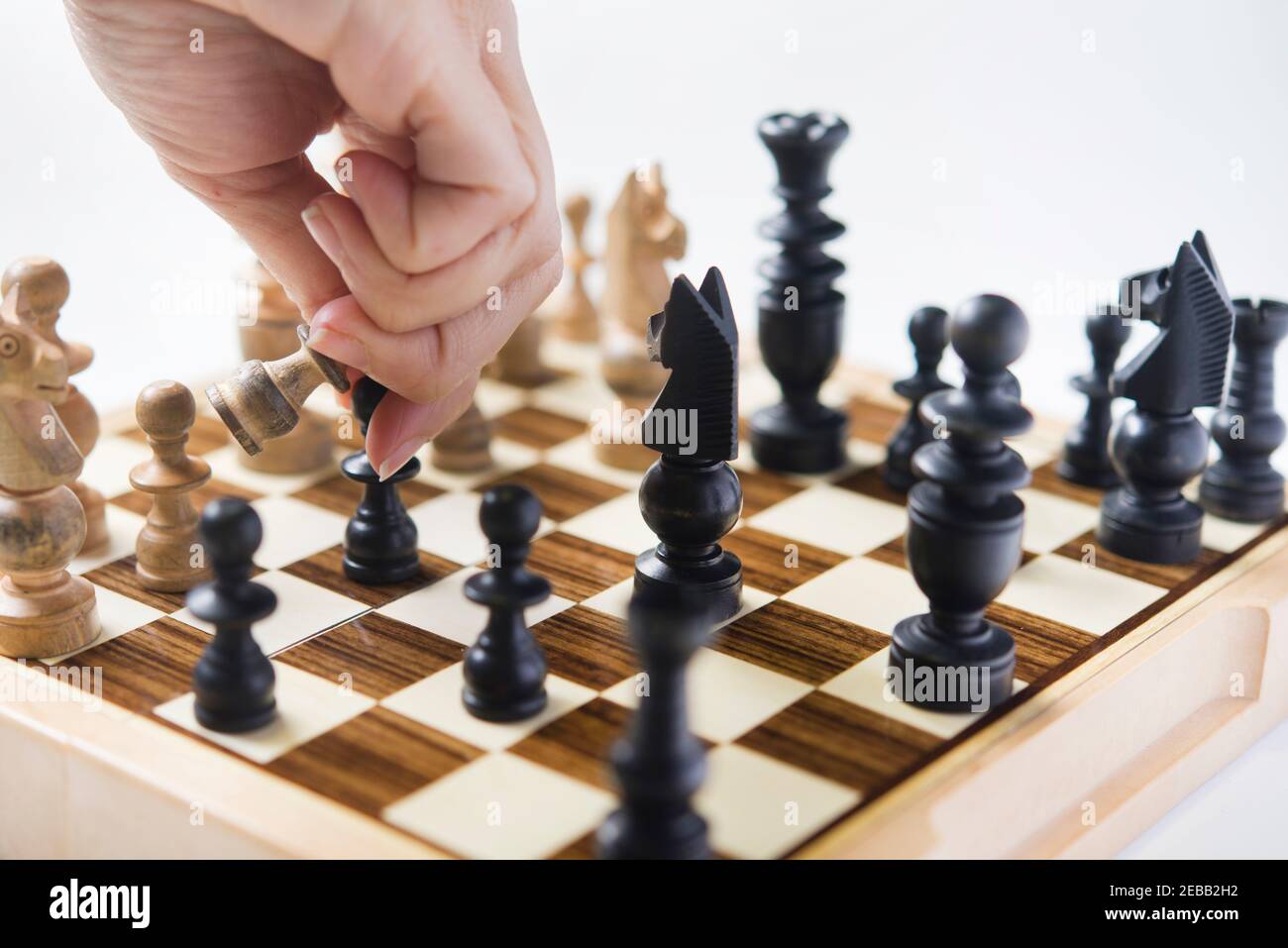 Chess fight in white background Stock Photo - Alamy