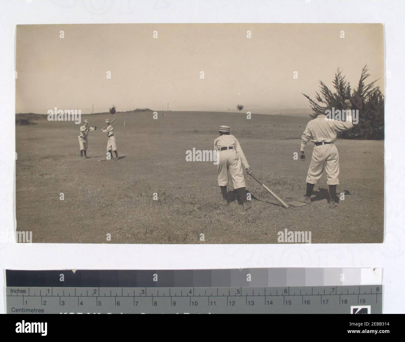 Fig bat hi-res stock photography and images - Alamy