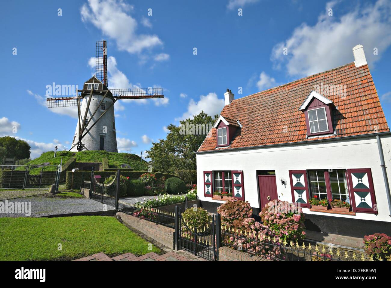 Rural fair draft horses hi-res stock photography and images - Alamy