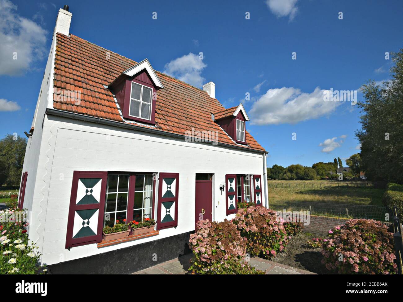 Rural fair draft horses hi-res stock photography and images - Alamy