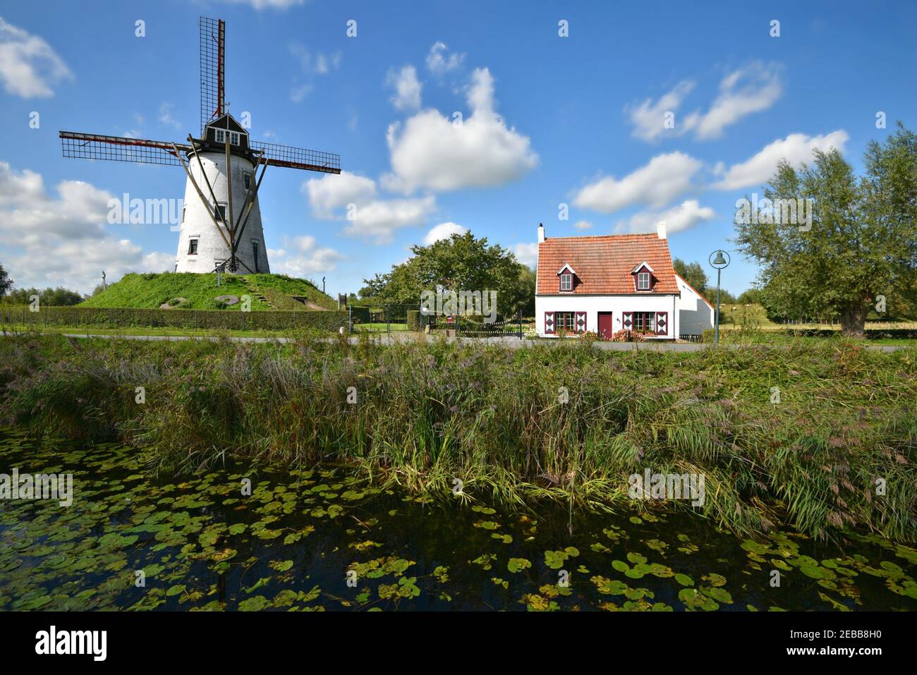 Landscape with a typical Flemish rural house and the historic windmill ...