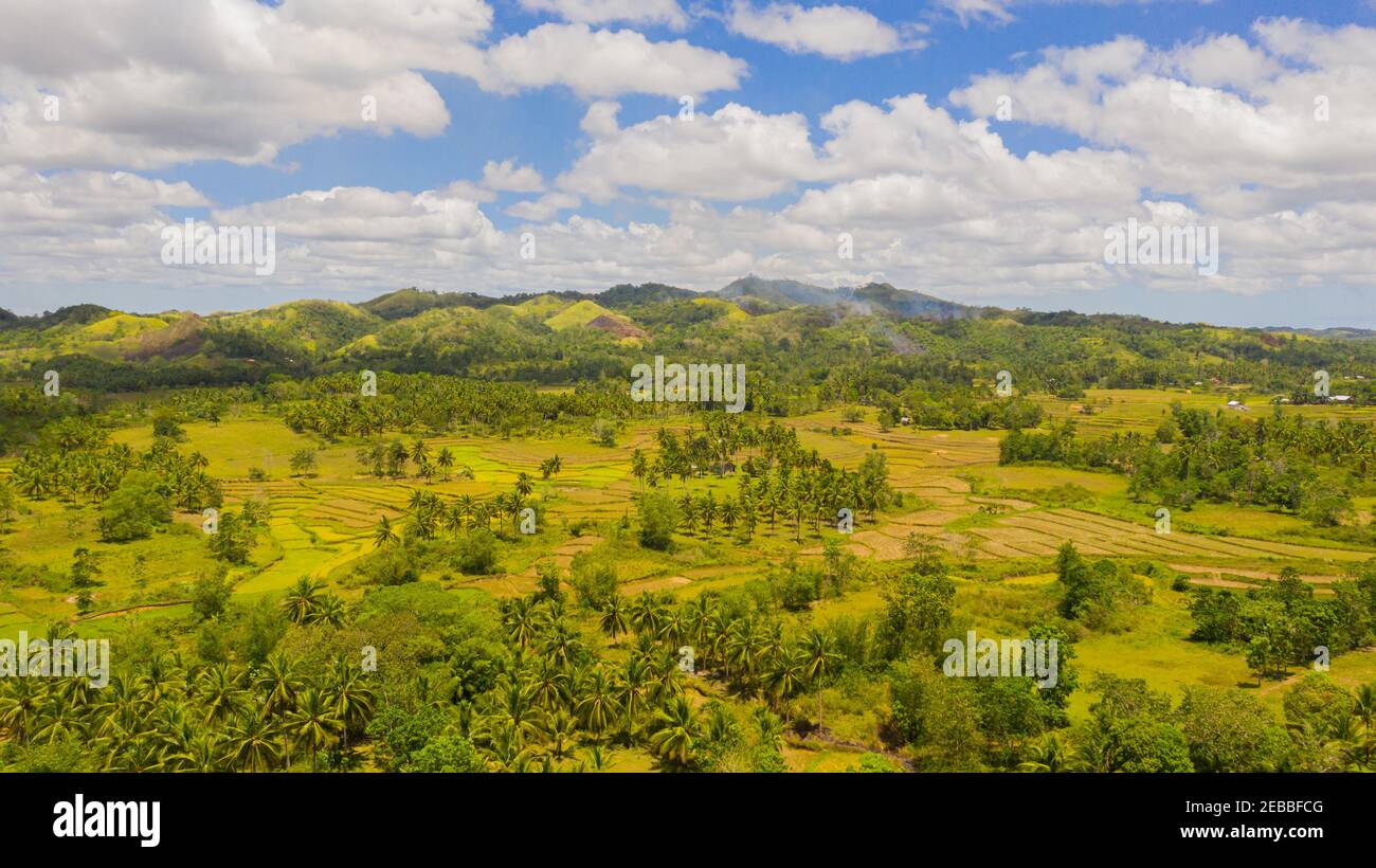 Mountain slopes and hills with tropical vegetation under a blue sky ...