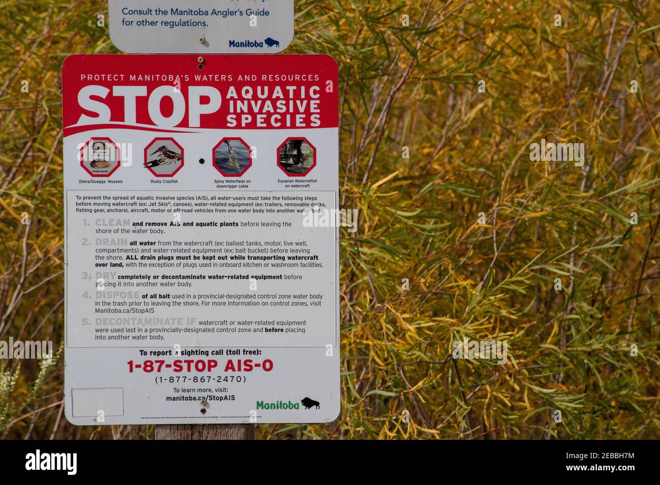 Stop Aquatic Invasive Species Sign, Lake of the Prairies, Manitoba ...