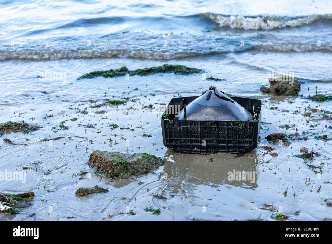 Damaging our environment hi-res stock photography and images - Alamy