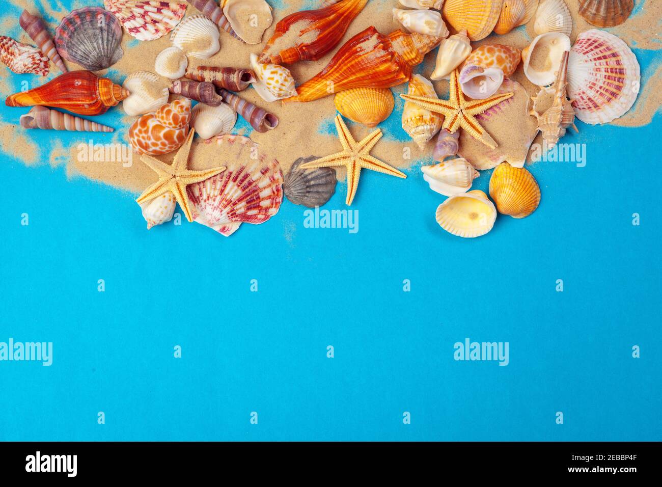 Flat lay. Top view. Frame of shells of various kinds on a blue ...