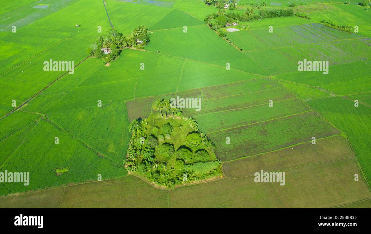 Aerial view of Landscape with farmland and rice fields. Philippines ...