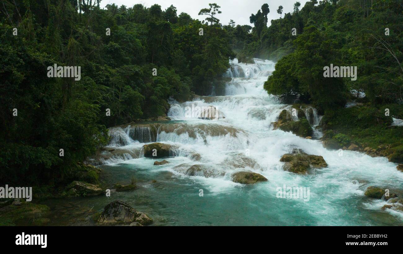 Cascade of Aliwagwag Falls in green forest, aerial drone. Waterfall in ...