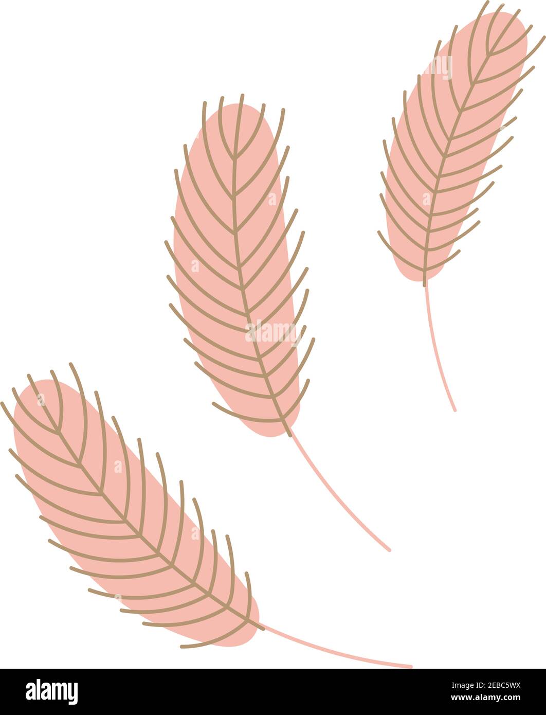 Bird's feather isolated on a white background. Chicken or goose feather ...