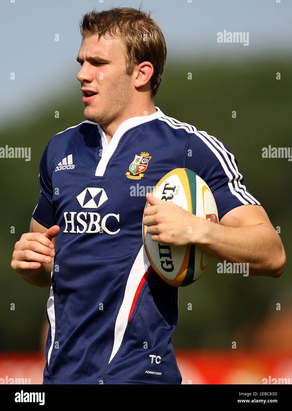 Tom croft lions hi-res stock photography and images - Alamy