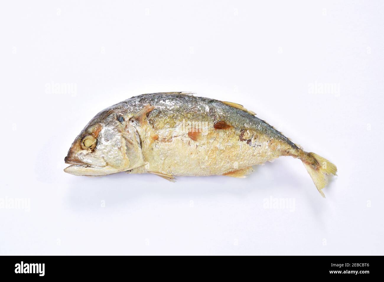 deep fried mackerel fish on white background Stock Photo - Alamy
