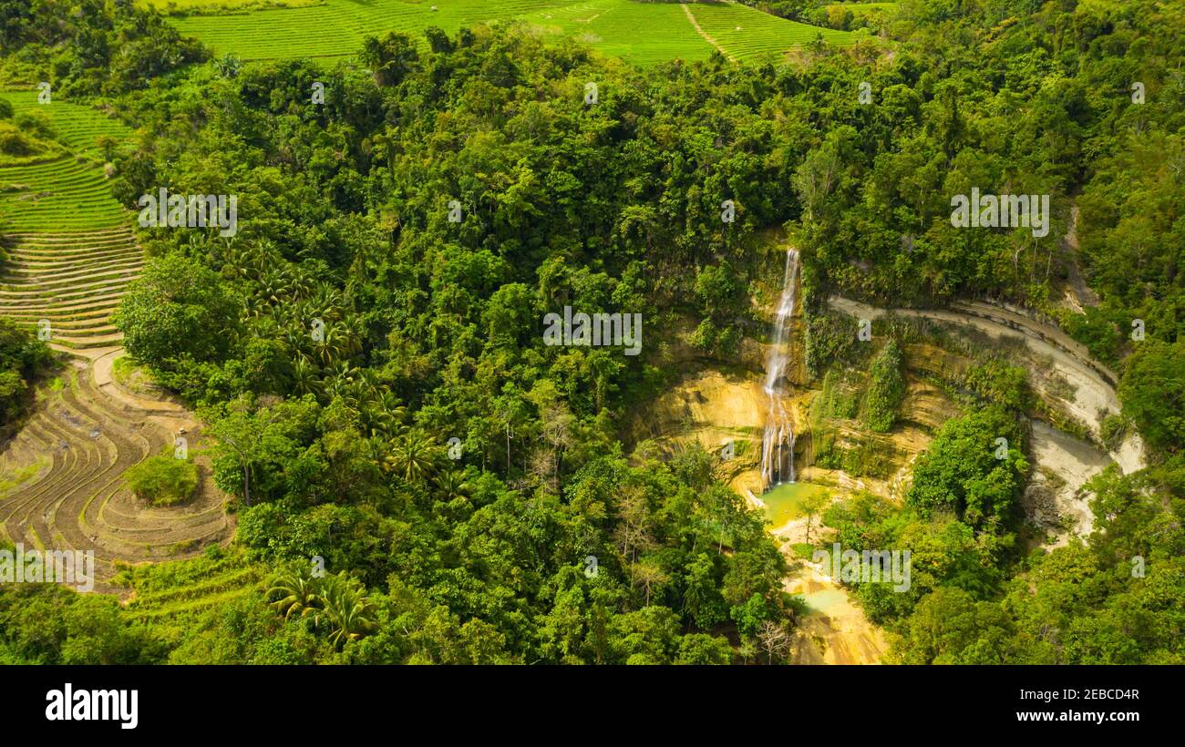 Tropical waterfall and rice terraces on the island of Bohol,Philippines ...