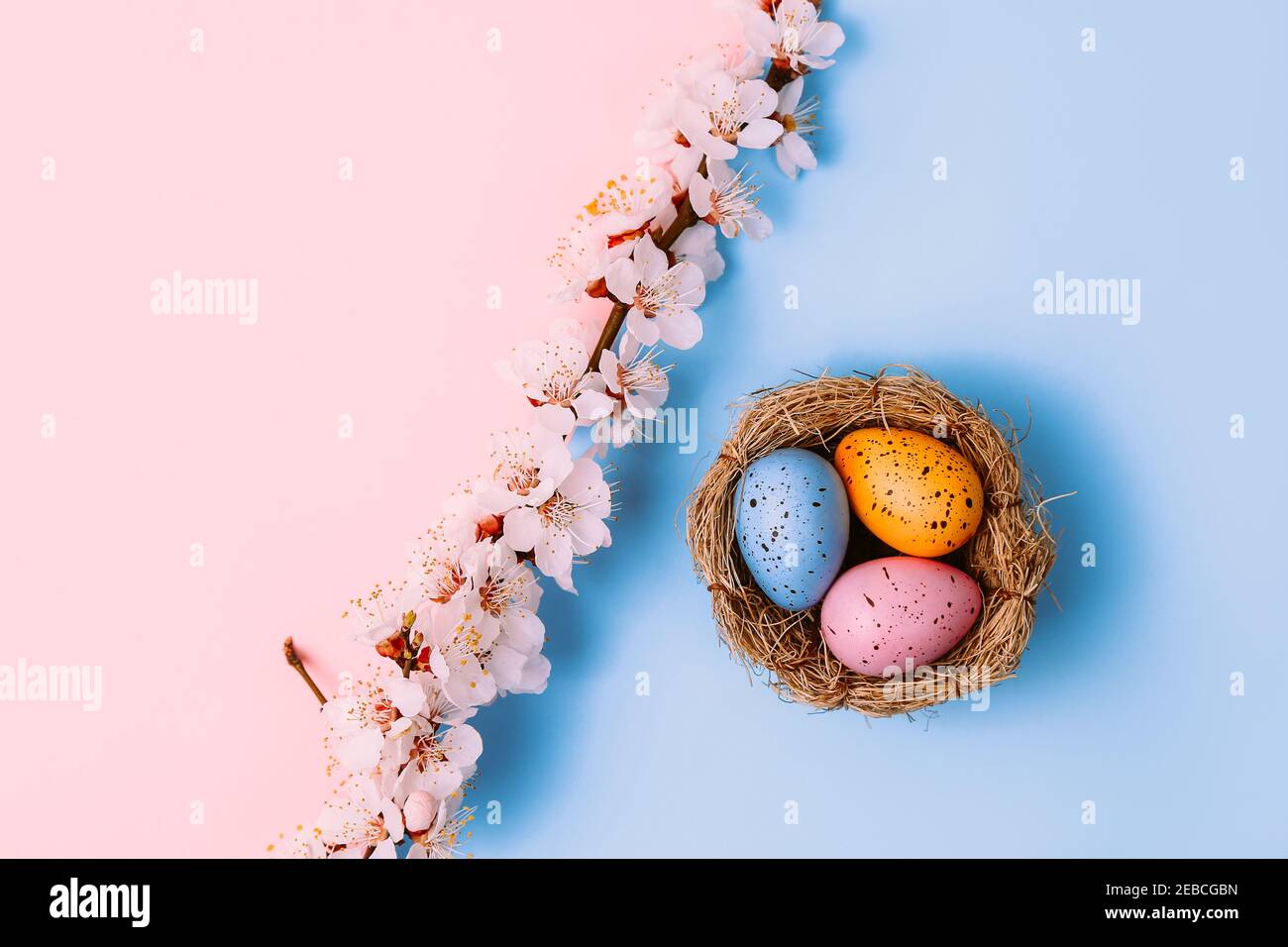 Beautiful pink blue background with spring blossom branches and Easter ...