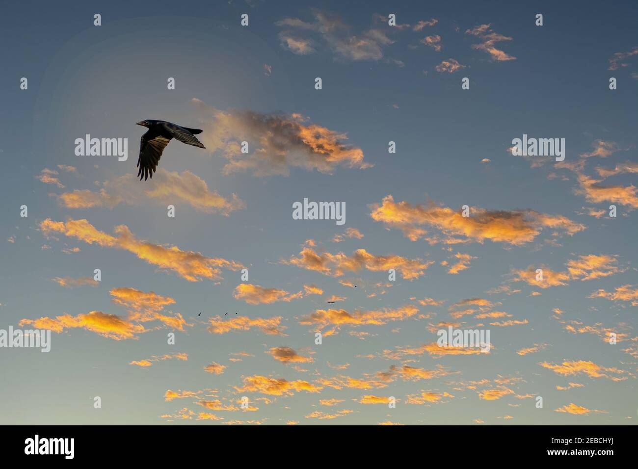 Dramatich sky hi-res stock photography and images - Alamy