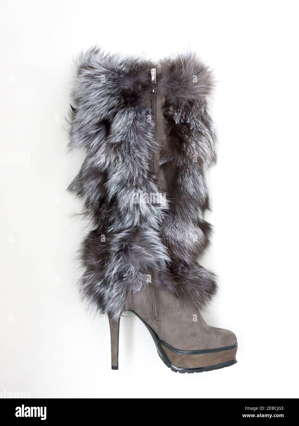 Silver fox hi-res stock photography and images - Alamy