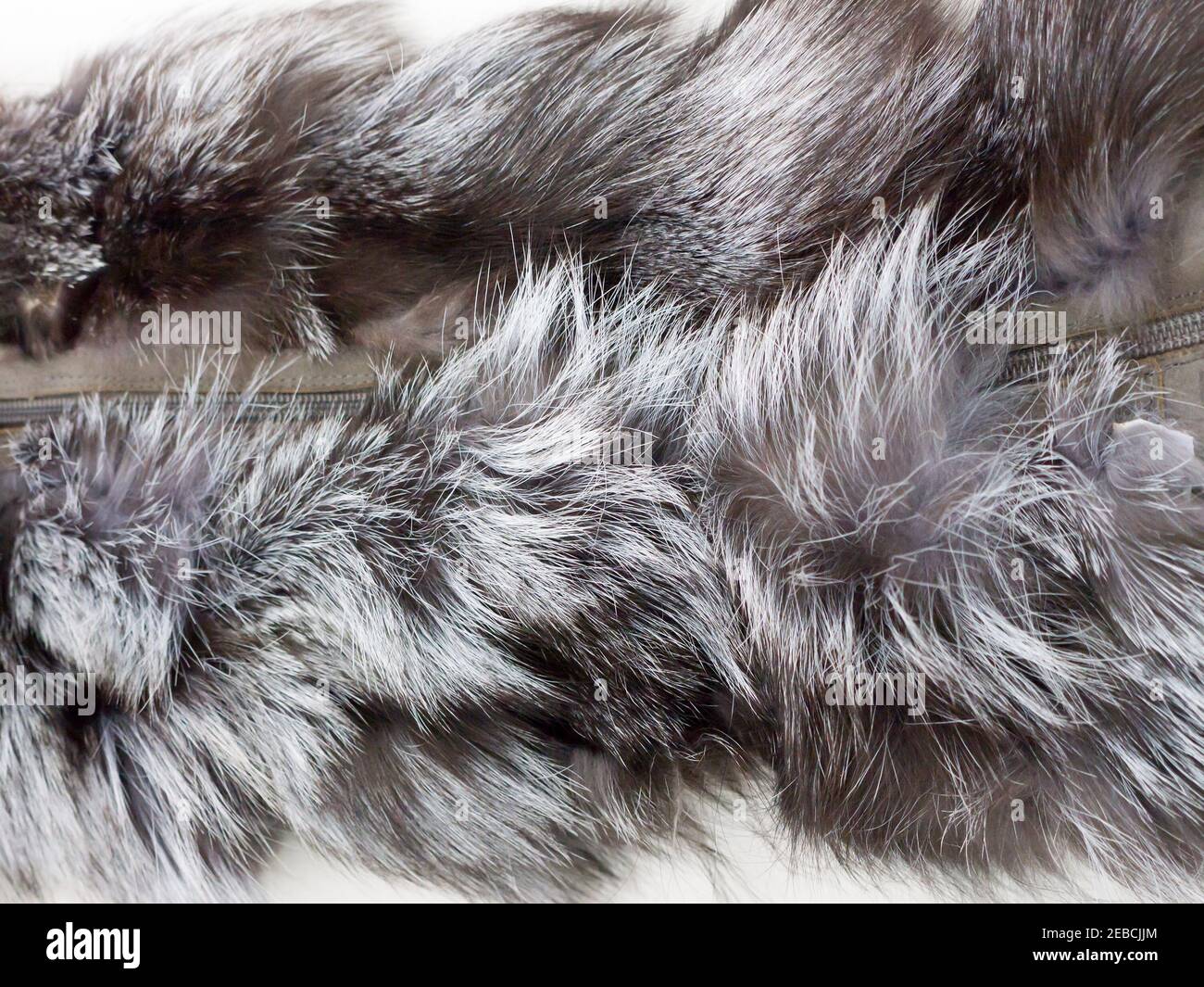 Graciana Silver fox fur Woman boots Stock Photo - Alamy