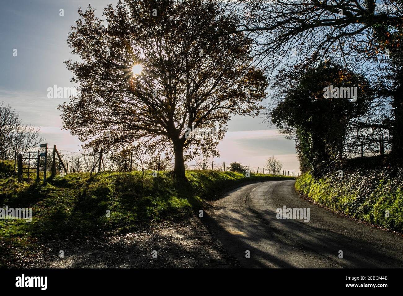 light and shade, silhouettes and sunshine Stock Photo - Alamy