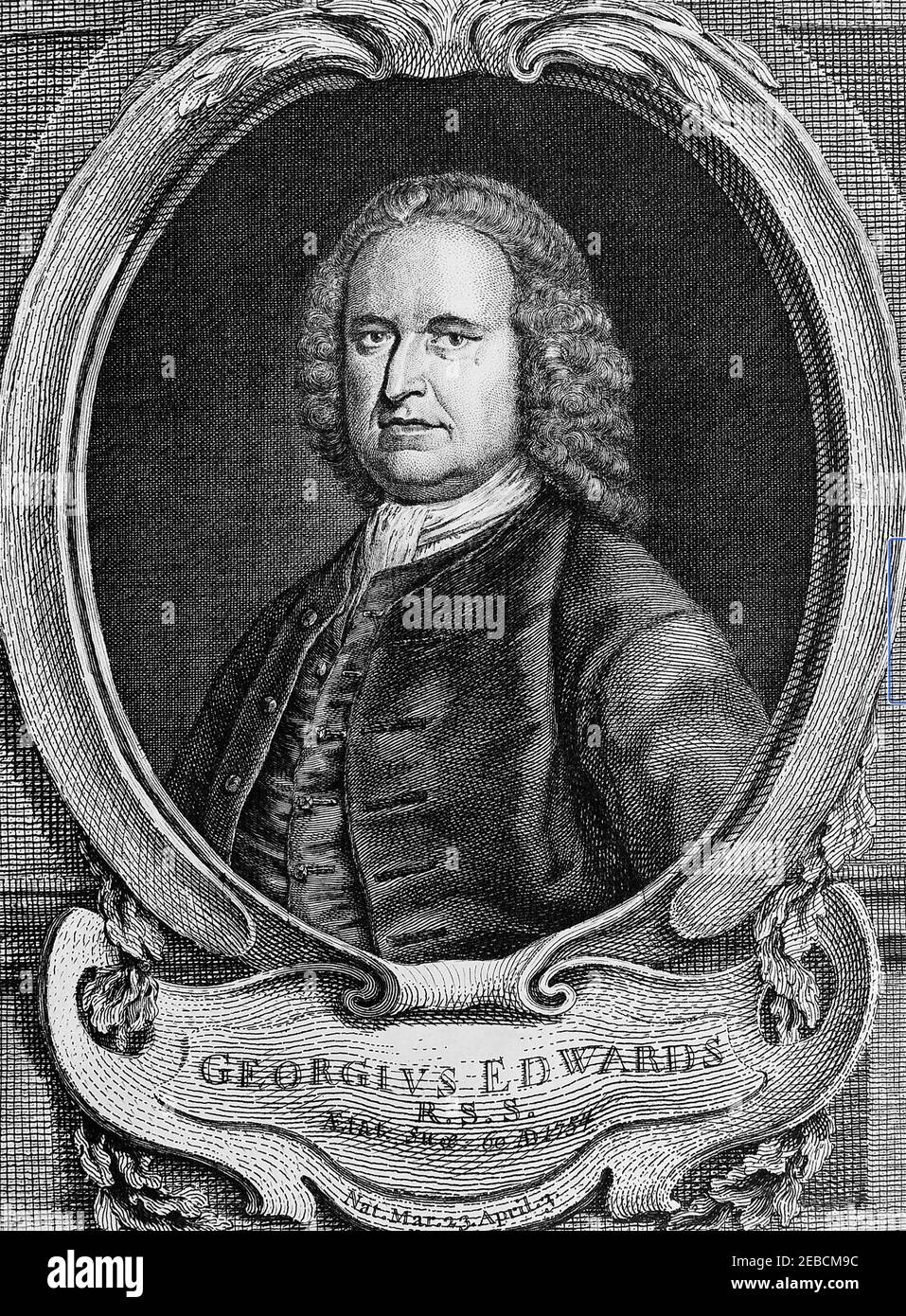 GEORGE EDWARDS (1694-1773) English naturalist and ornithologist Stock ...