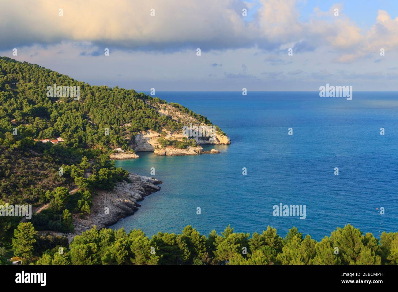 Apula coast,Gargano National Park: Pungno Chiuso beach. Vieste,Italy ...