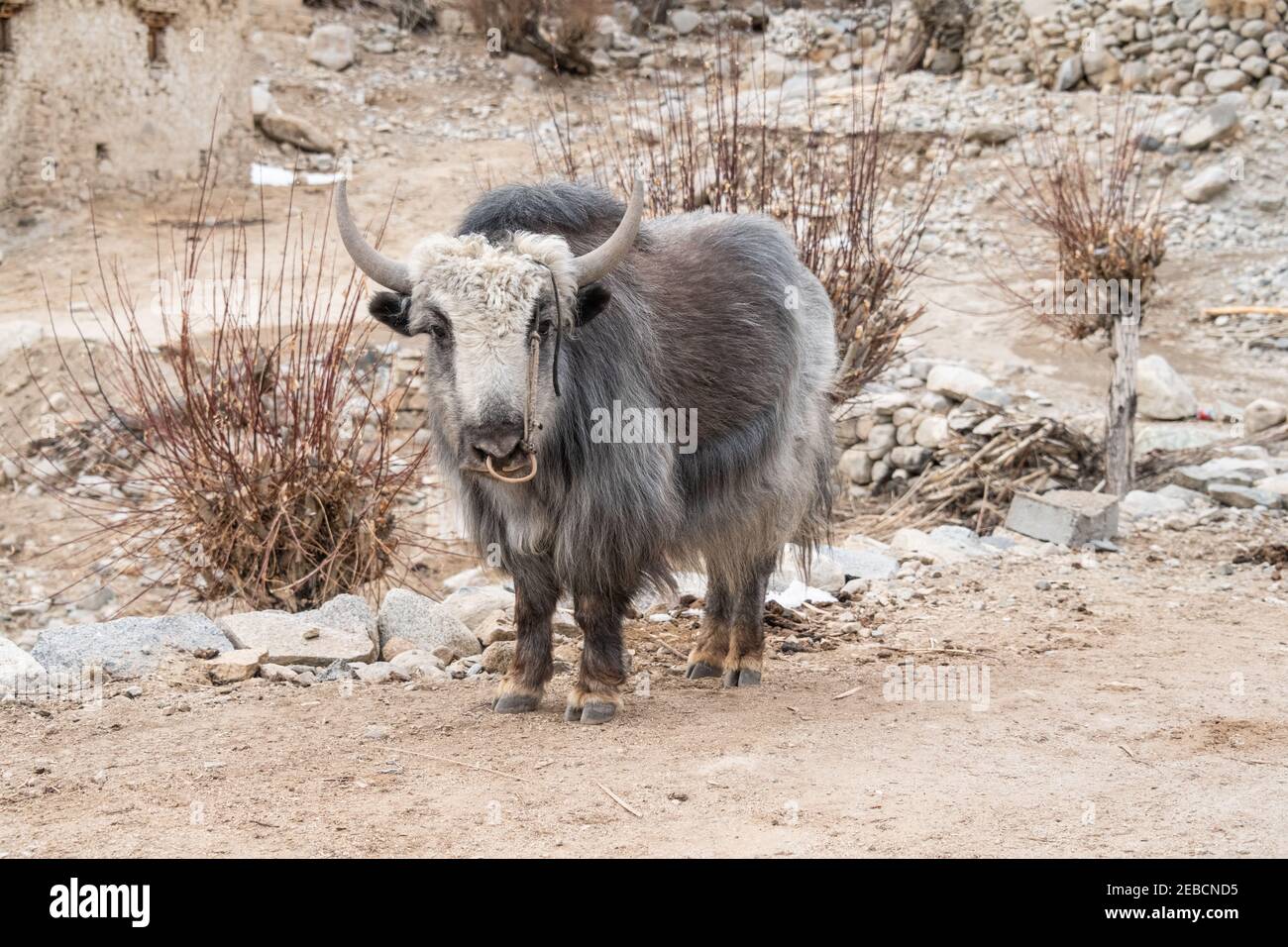 Ulley Village High Resolution Stock Photography and Images - Alamy