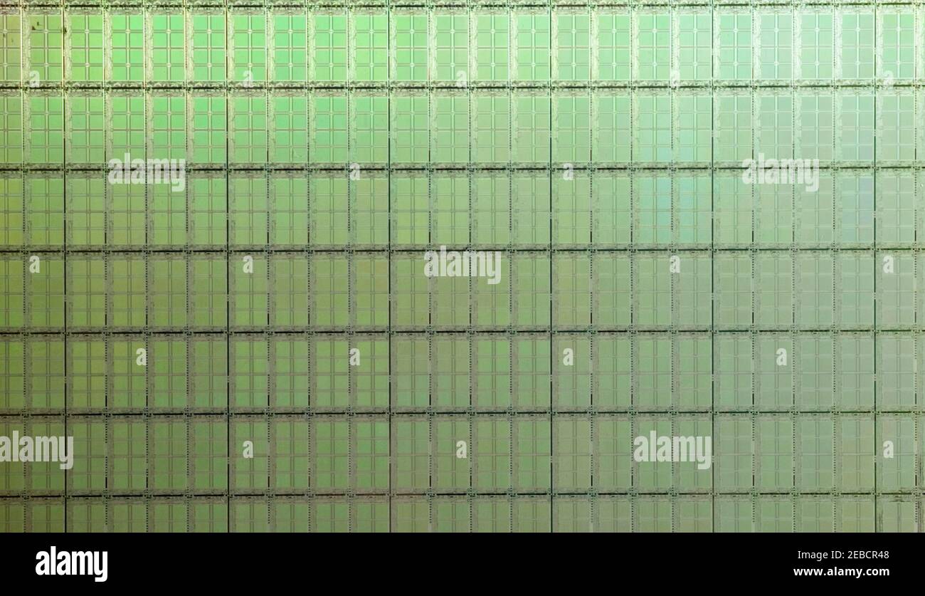 A wafer of silicon chips. Manufactured in the UK in the late 1980s by ...