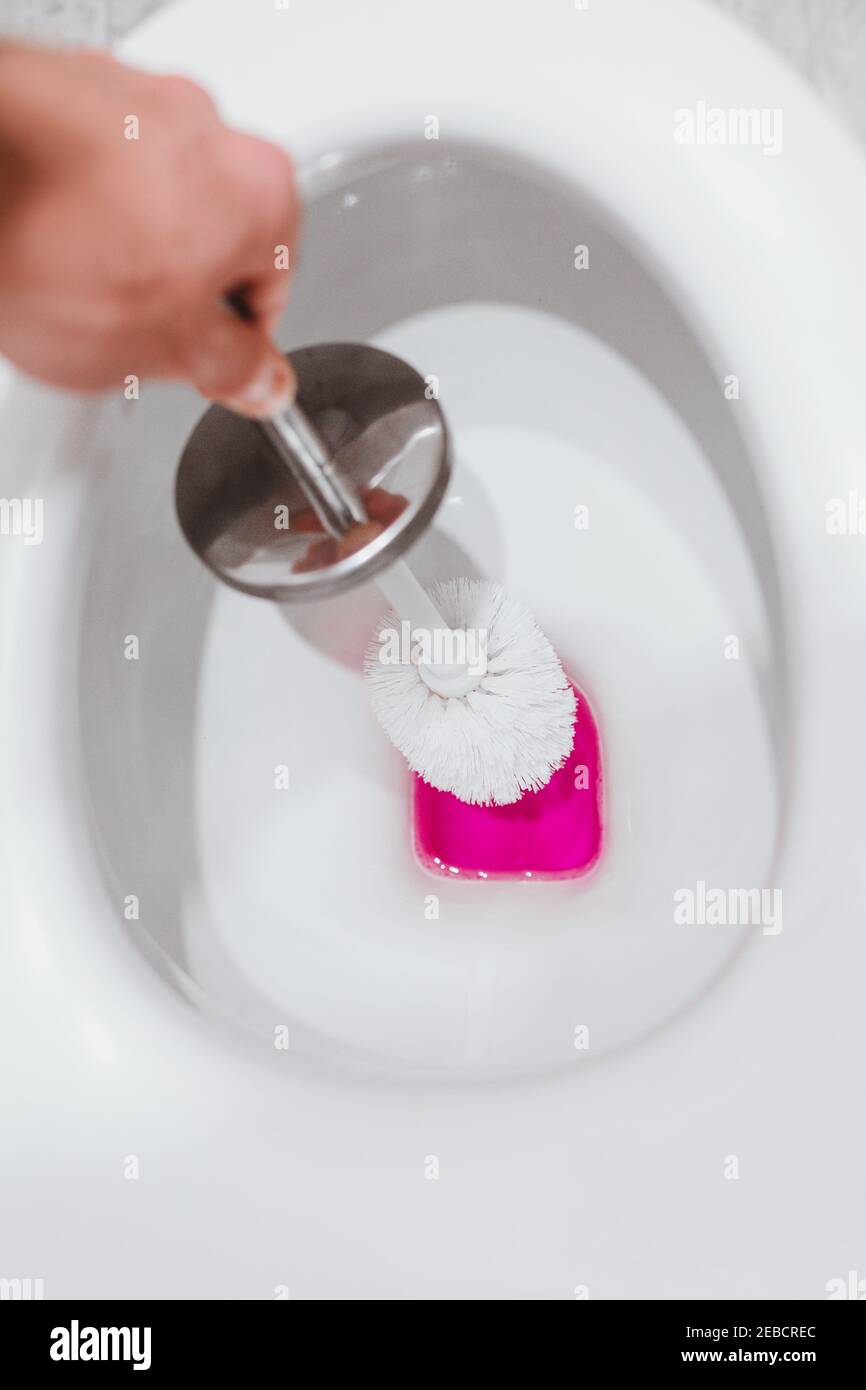 General cleaning of the house - cleaning the toilet and toilet bowl ...