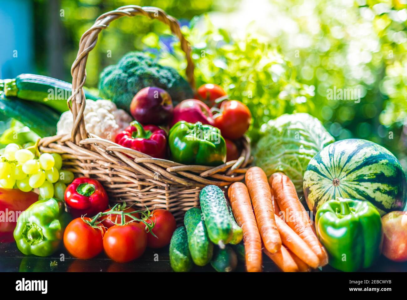 Variety of fresh organic vegetables and fruits in the garden. Balanced ...