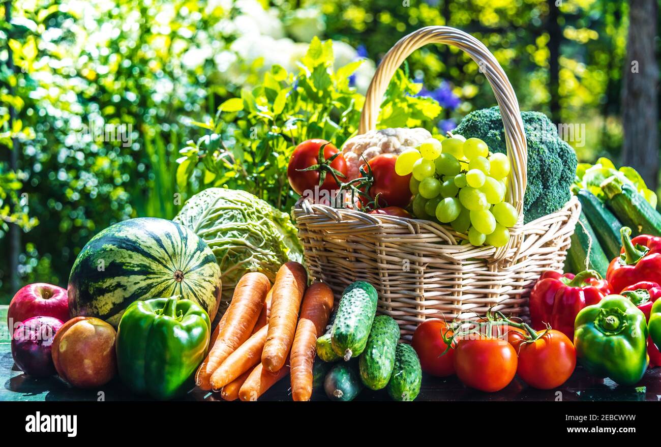 Variety of fresh organic vegetables and fruits in the garden. Balanced ...