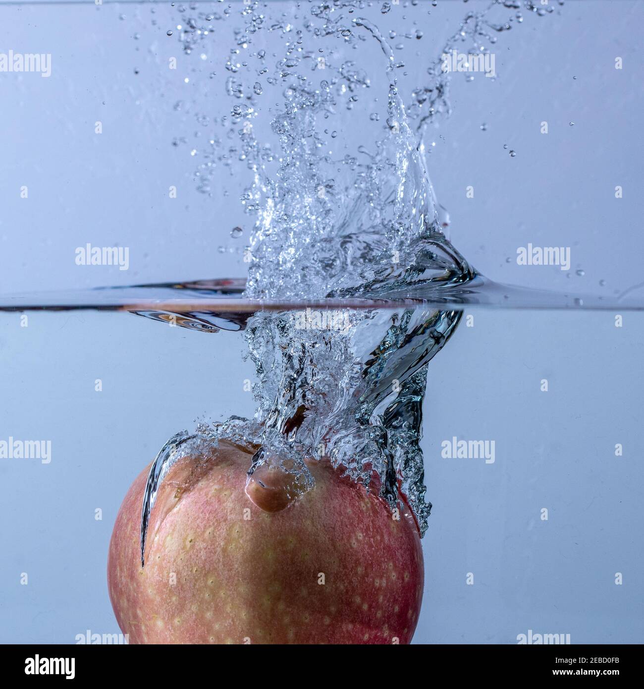 Closeup of a ripe red apple falling into the water against a blue ...