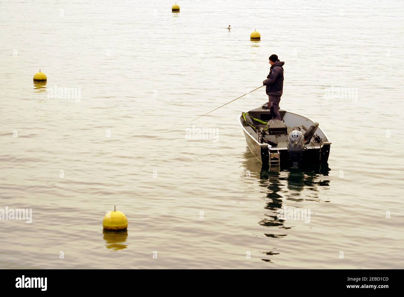 Person holding fish on boat hi-res stock photography and images - Alamy