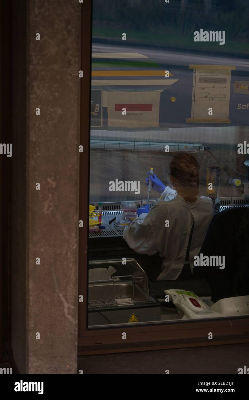 Biochemical tests hi-res stock photography and images - Alamy