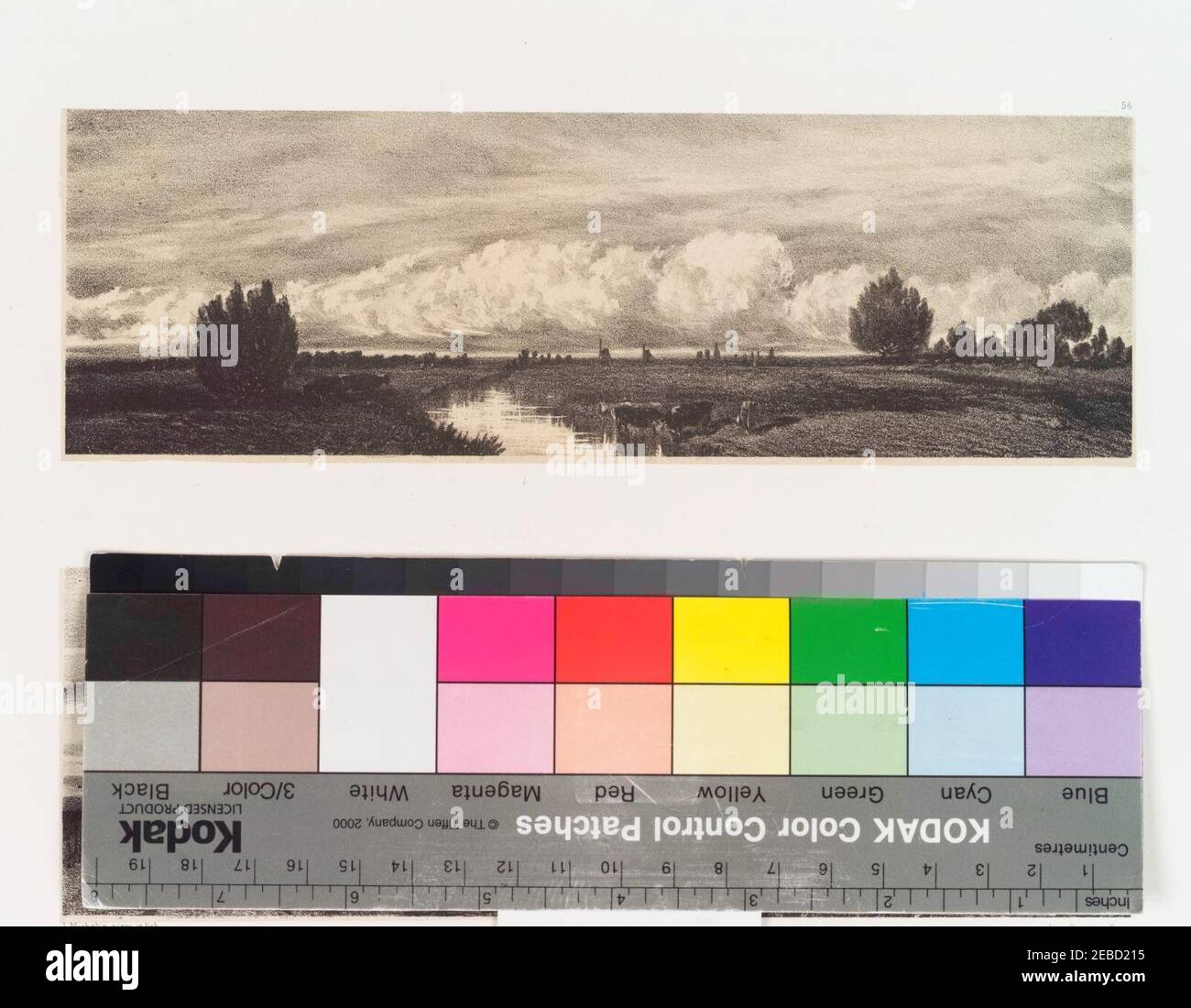 Scattered trees hi-res stock photography and images - Alamy