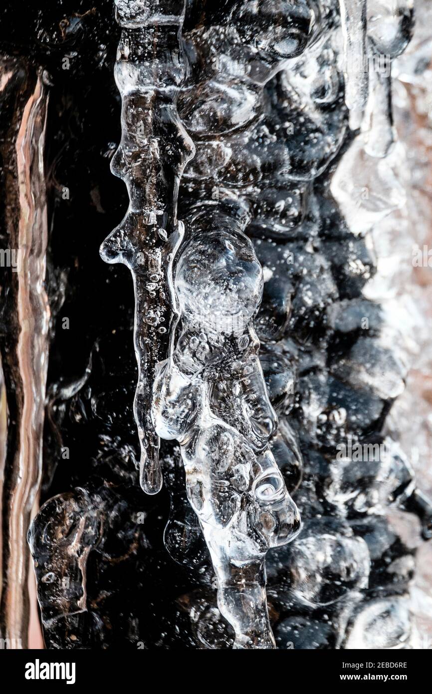 Abstract natural forms hi-res stock photography and images - Alamy