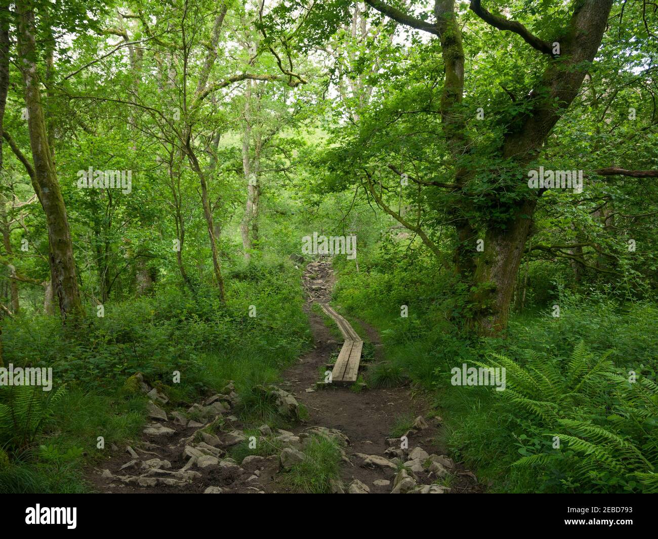 'waterfall country' hi-res stock photography and images - Alamy
