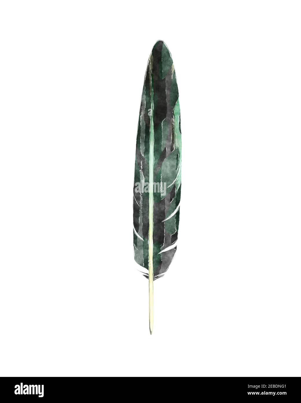 Dark Green Feathers