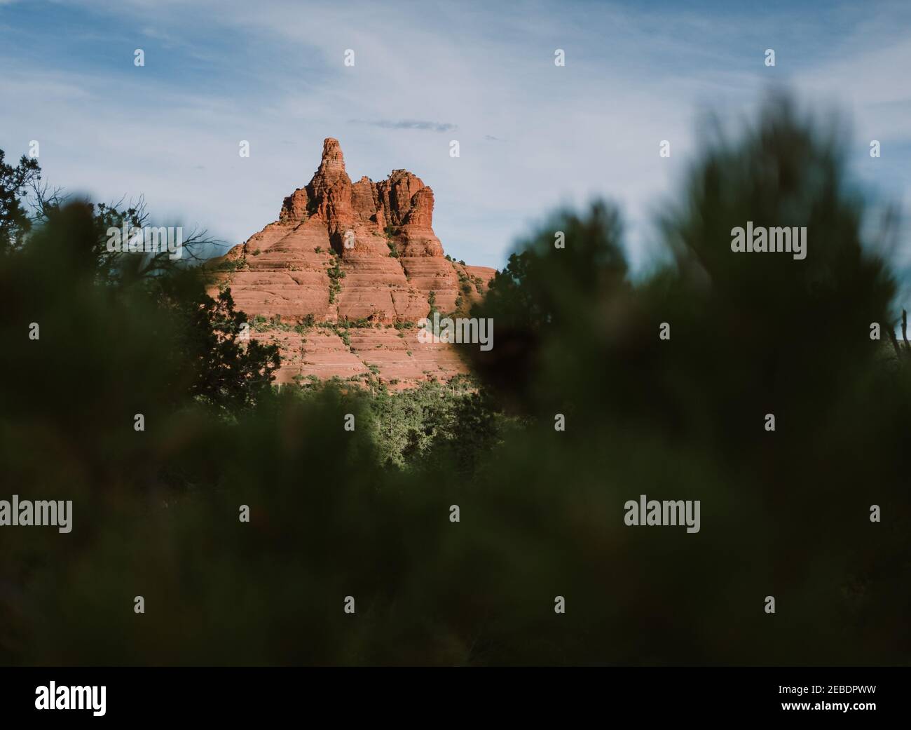 Desert landscape of red rocks looking through green trees Stock Photo ...