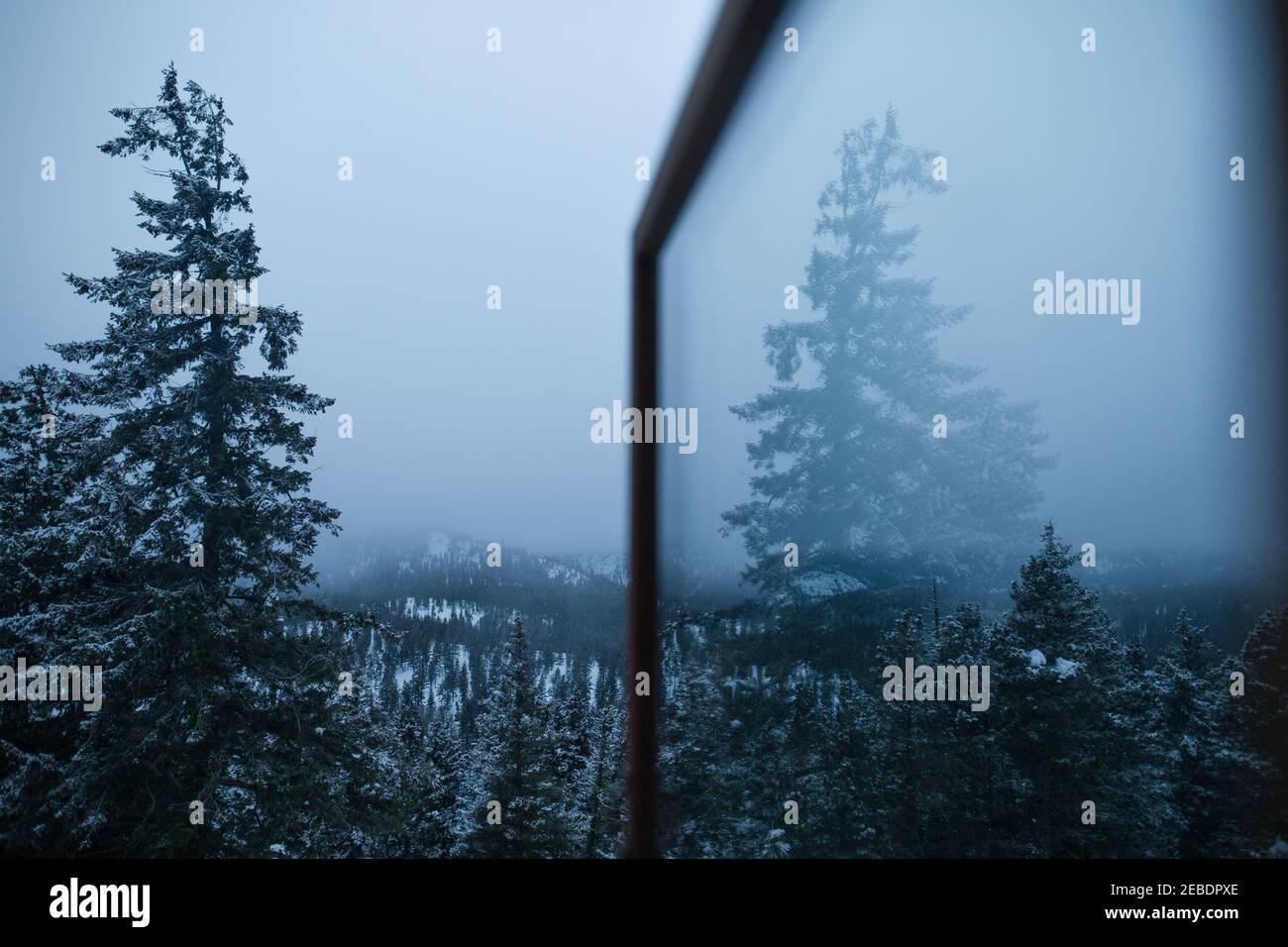 View through cabin window with reflection of trees and fog Stock Photo ...