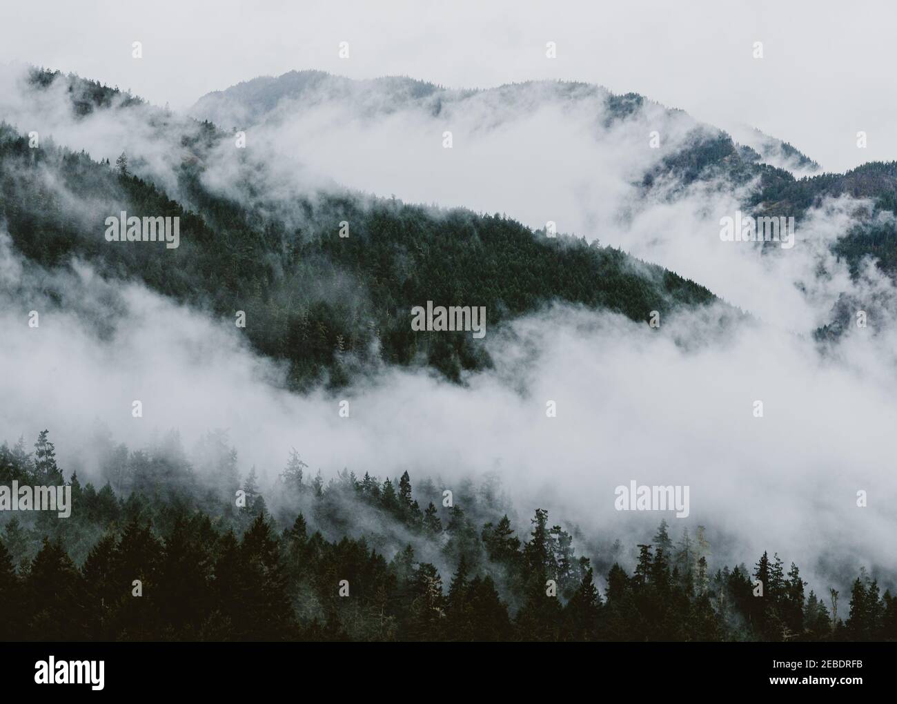 Layers of fog roll through mountains and evergreens Stock Photo - Alamy