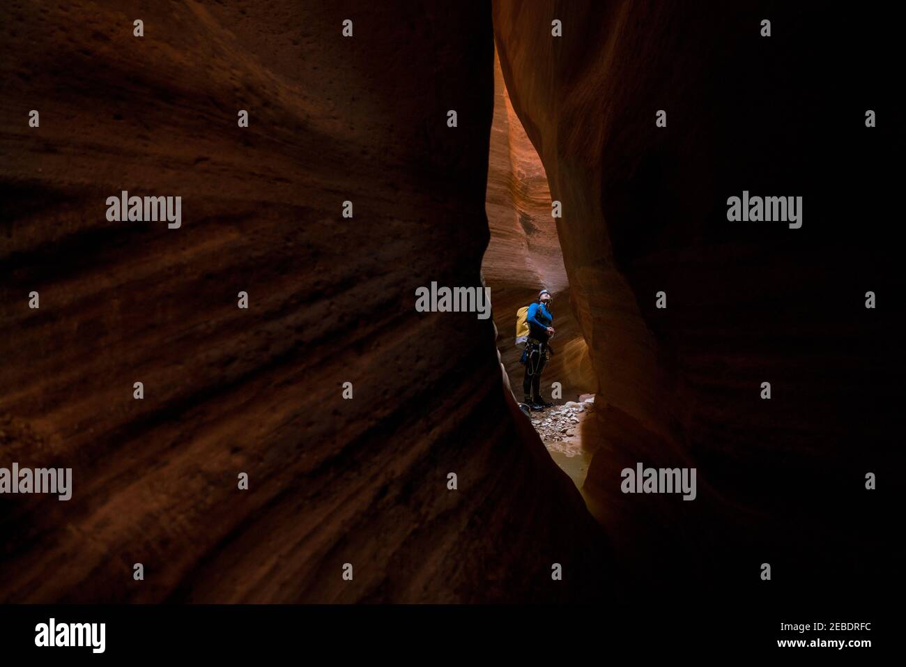 Small slit hi-res stock photography and images - Alamy