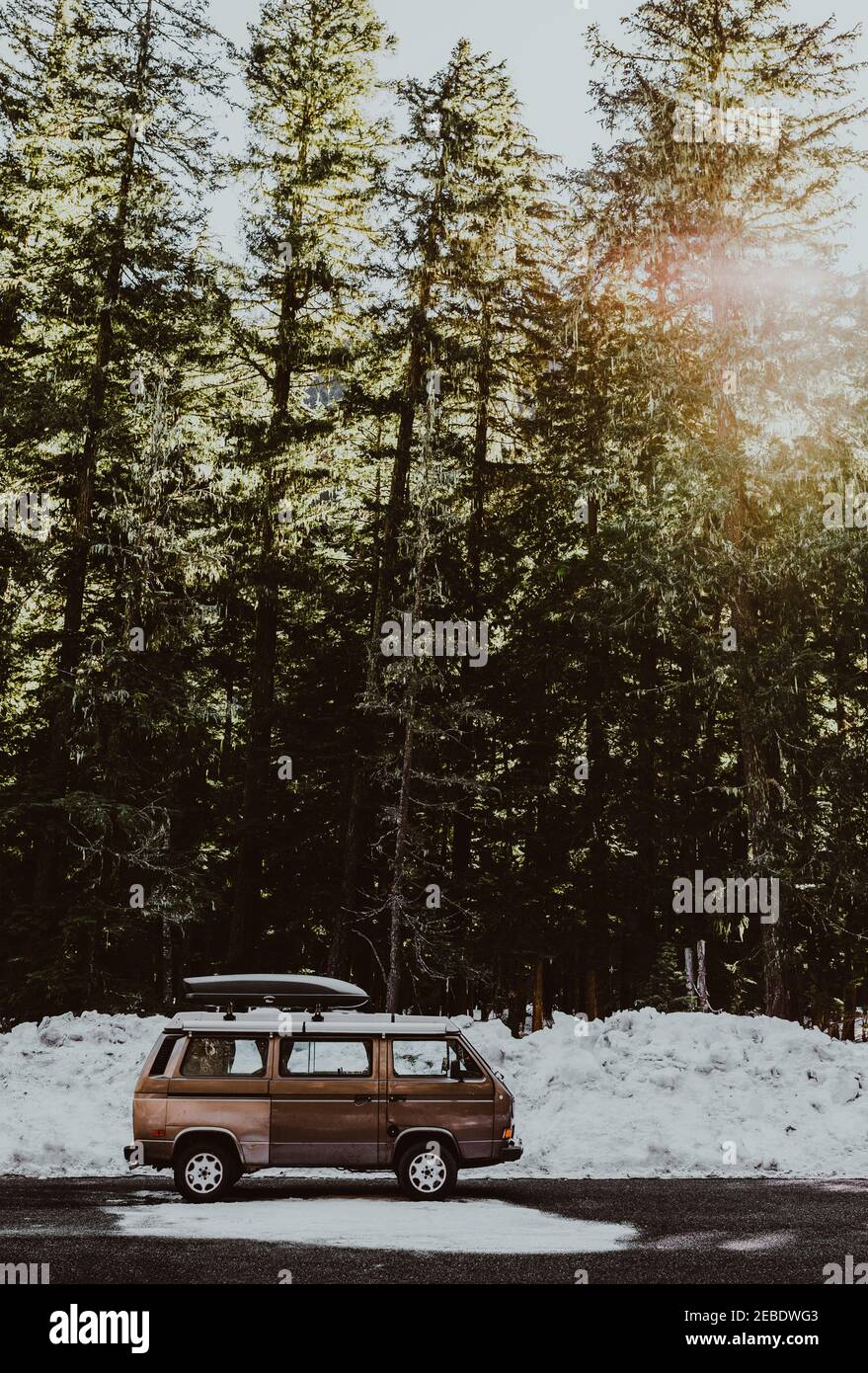 VW Van parked in front of tall evergreen trees with snow and sunshine ...