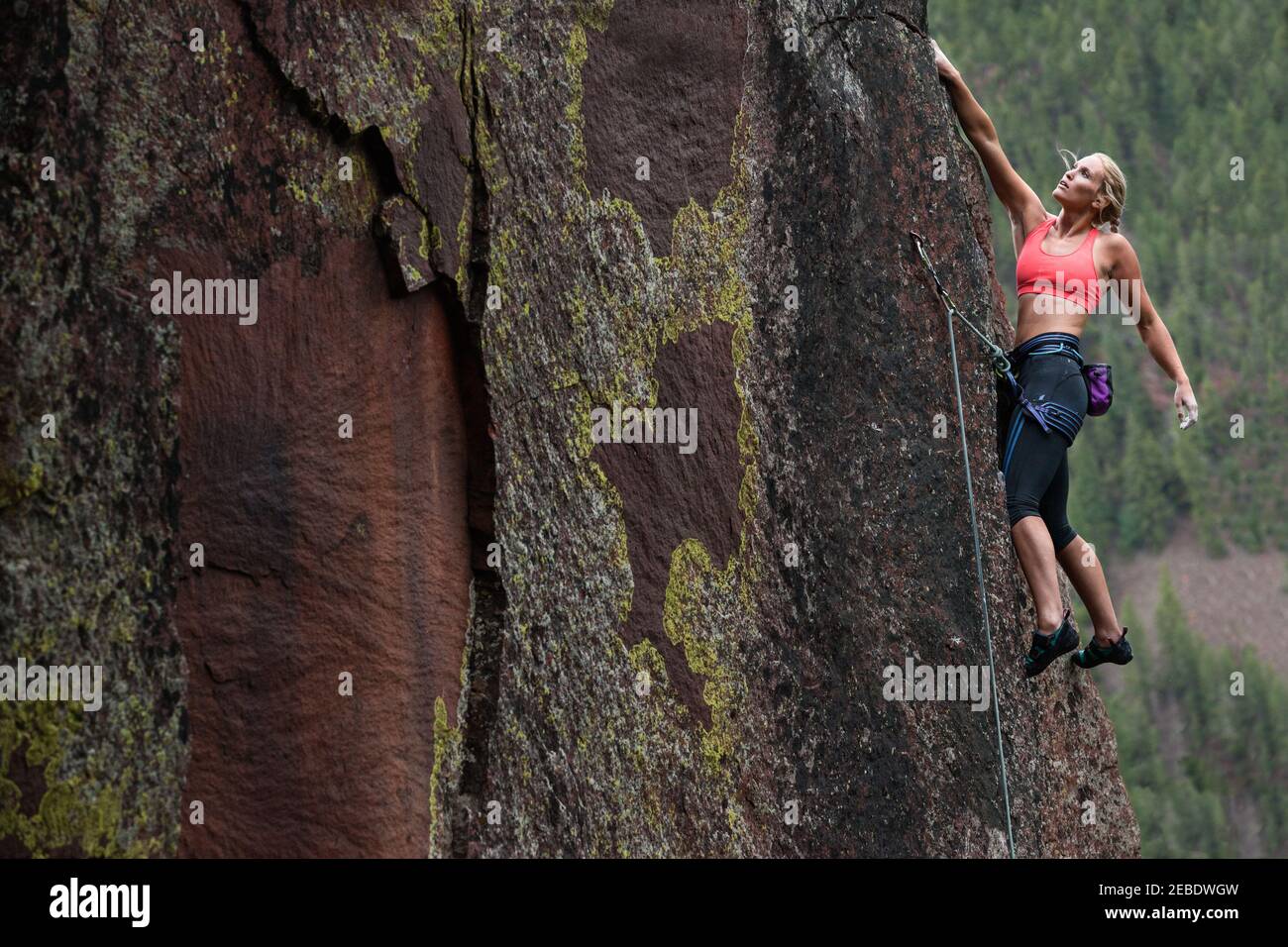 Female rock climber with wind blown hair rests while leading route ...