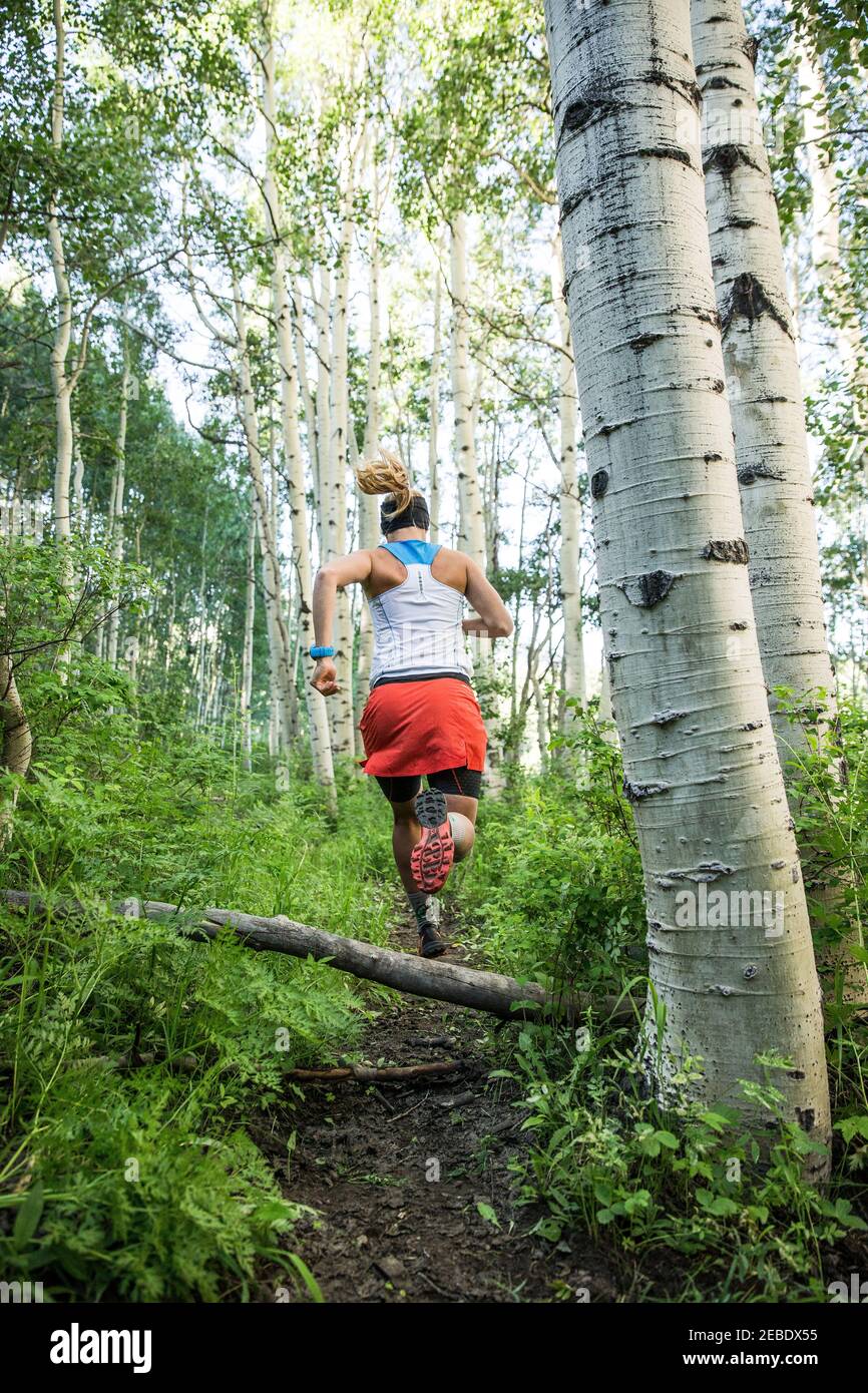 Woman jumps over tree branch while trail running through aspen grove ...