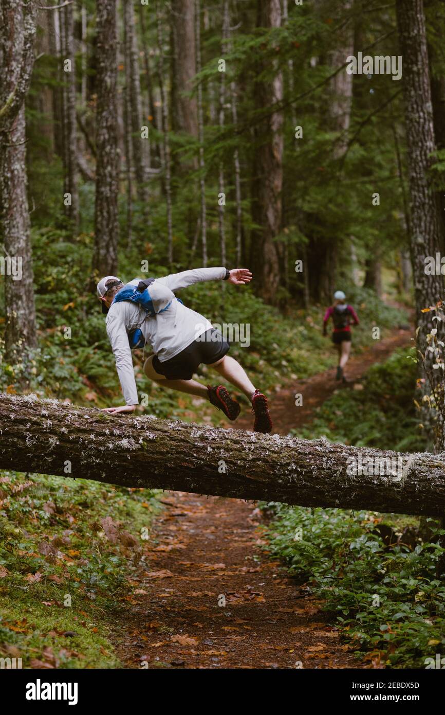 A man jumps over downed tree while trail running with friend Stock ...