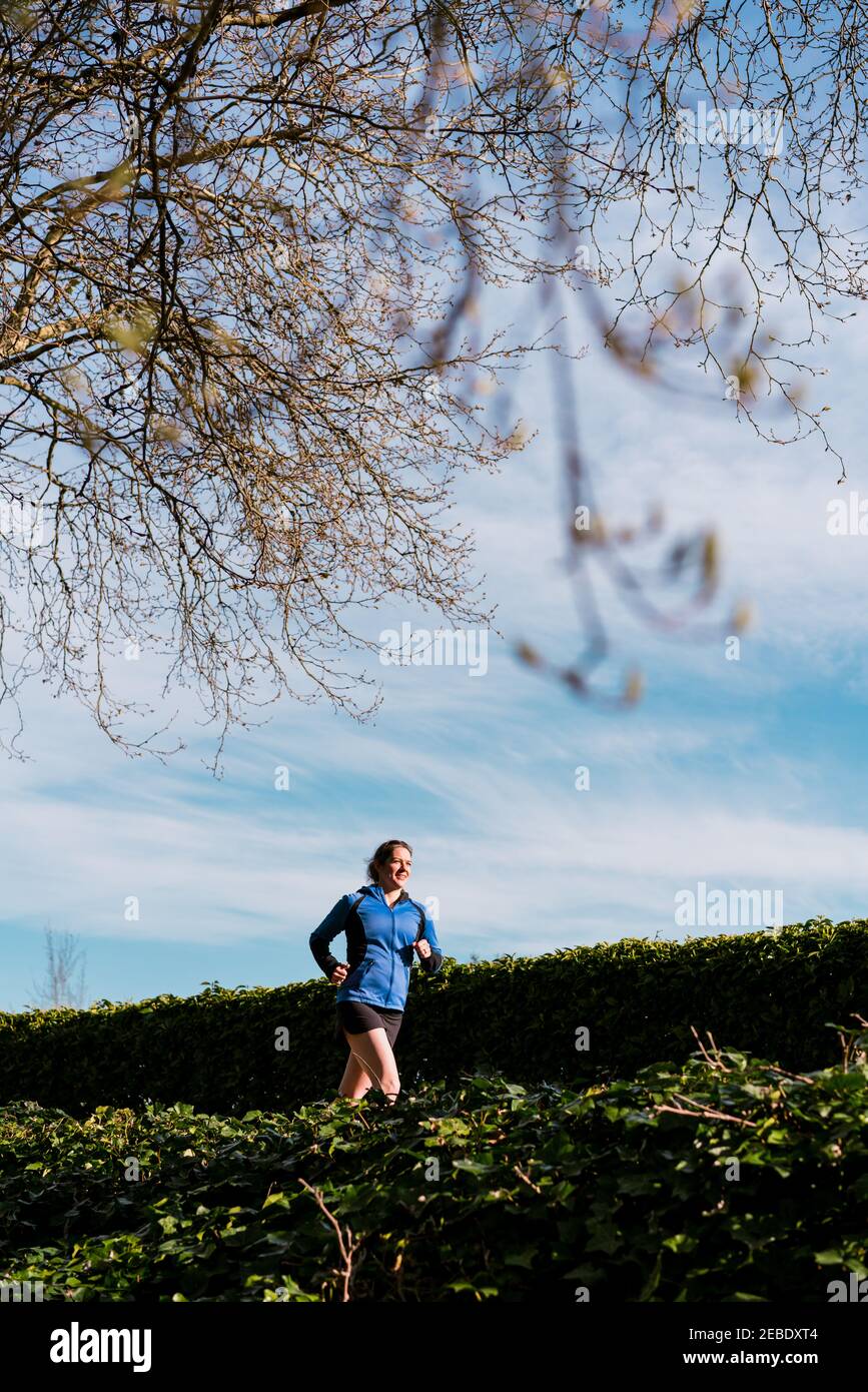 Young trees bushes road hi-res stock photography and images - Alamy