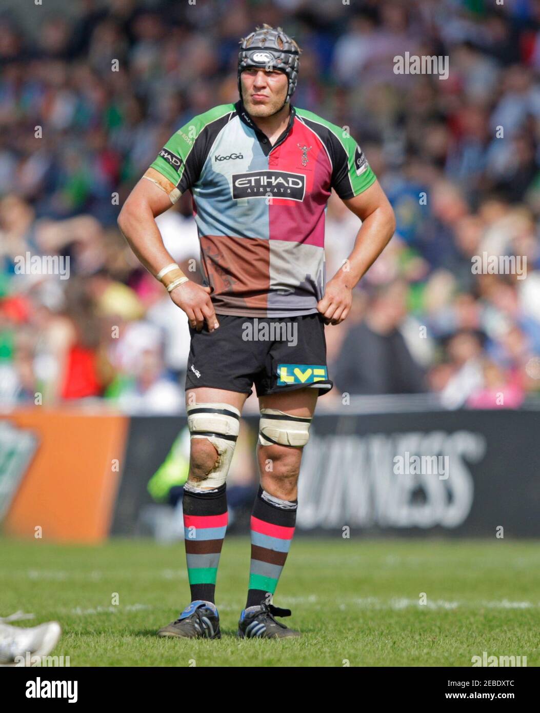 Peter percival hi-res stock photography and images - Alamy