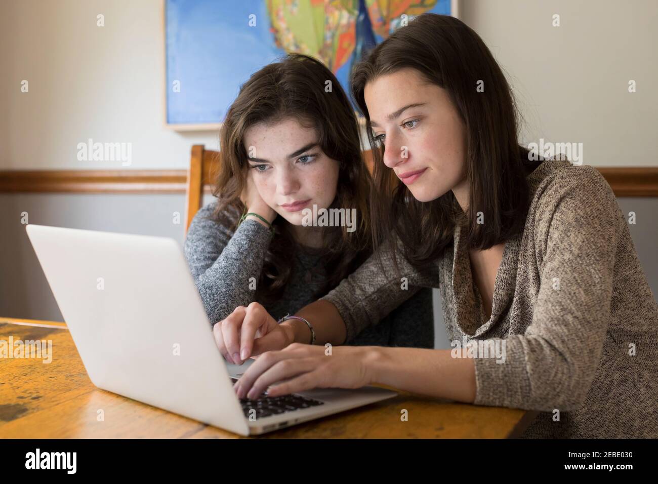 Two young caucasian women working on a laptop together Stock Photo - Alamy
