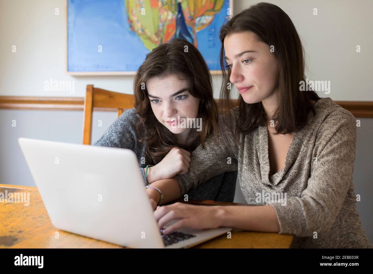 Two young caucasian women working on a laptop together Stock Photo - Alamy