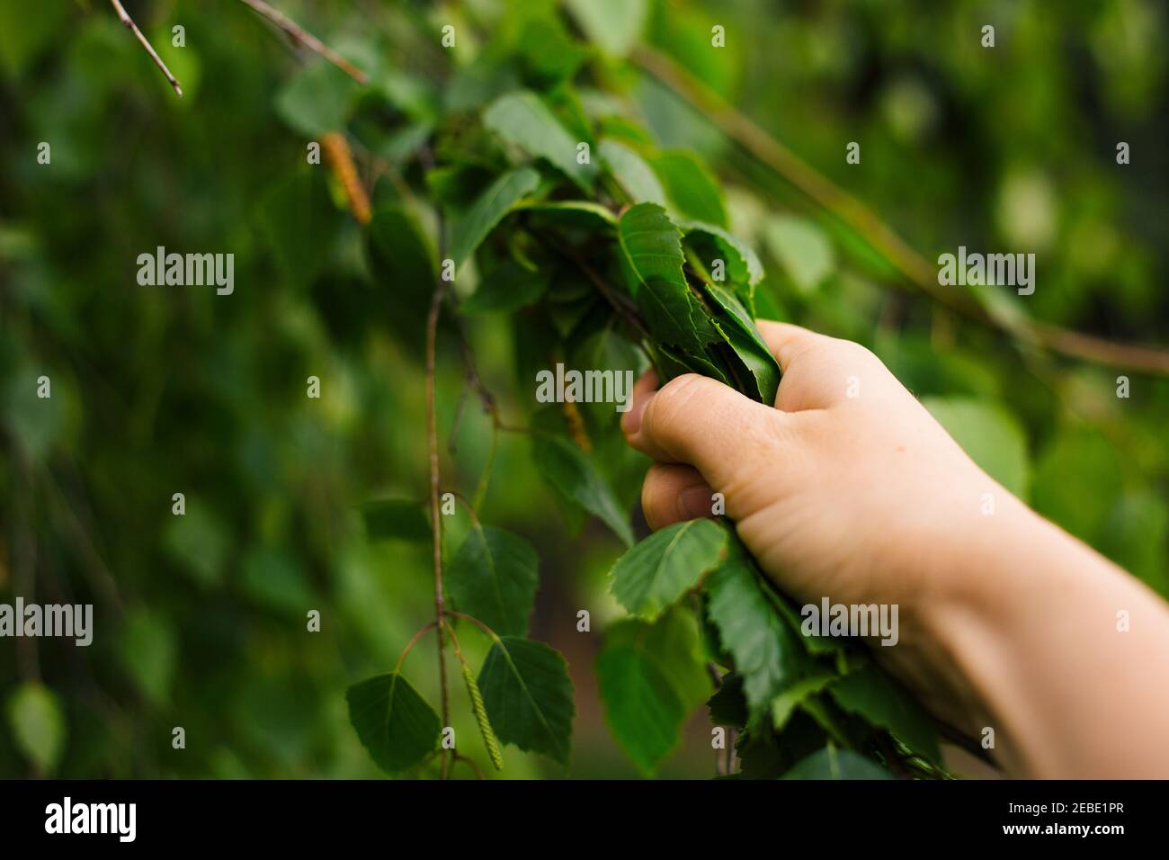 Human and nature contact. Enviroment concept. Handshake between human ...