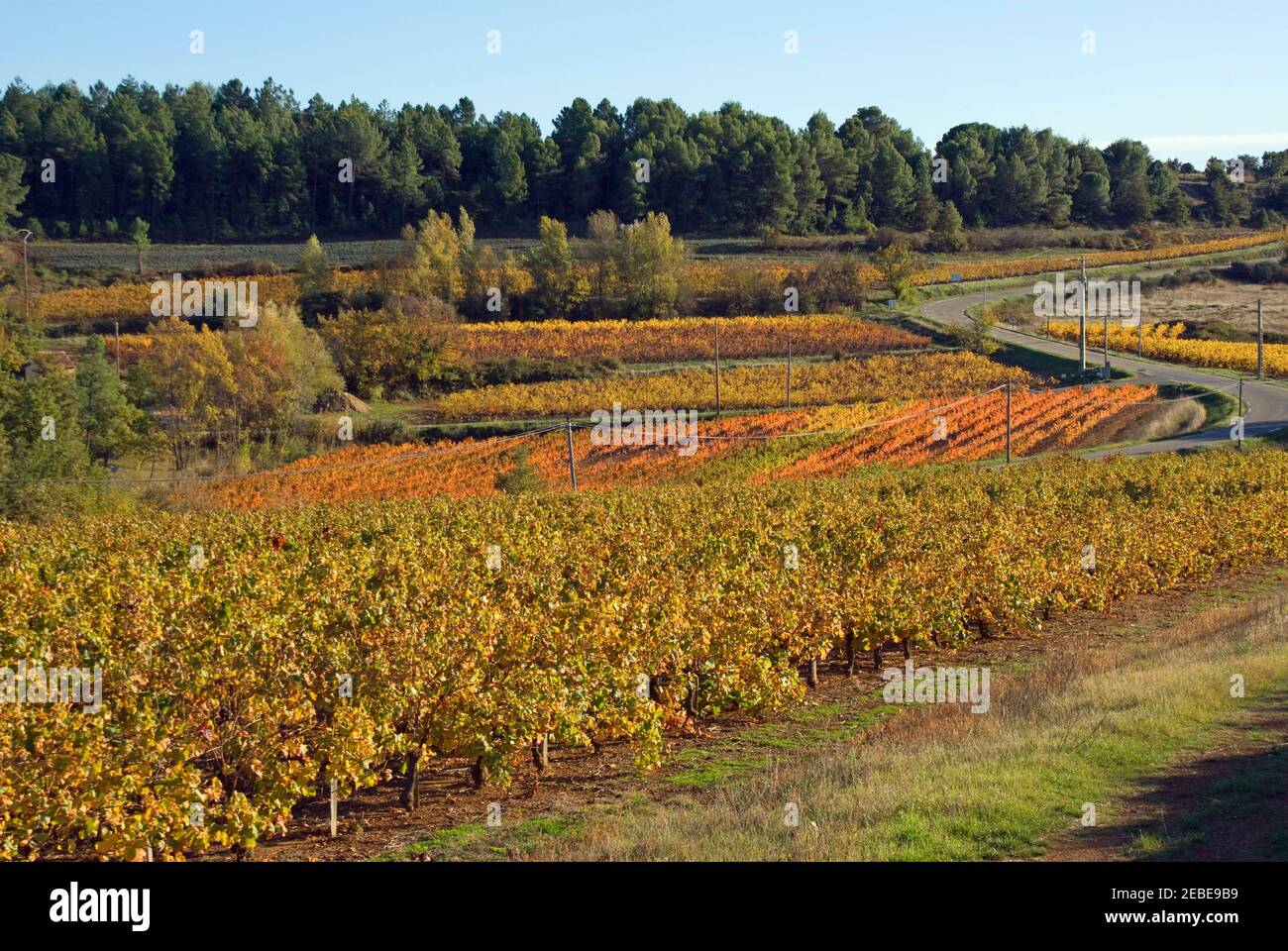 Same scene different season hi-res stock photography and images - Alamy
