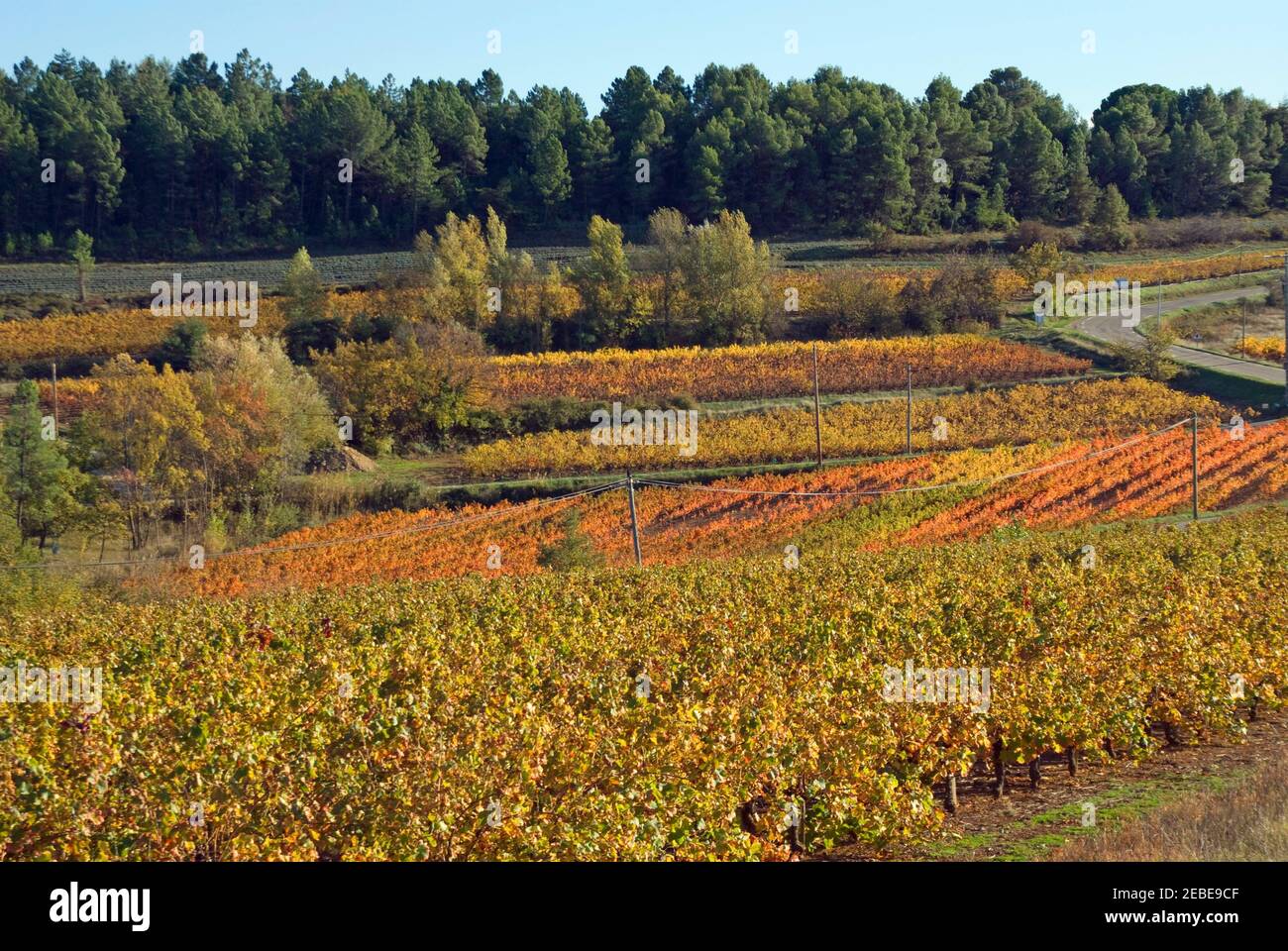 Same scene different season hi-res stock photography and images - Alamy