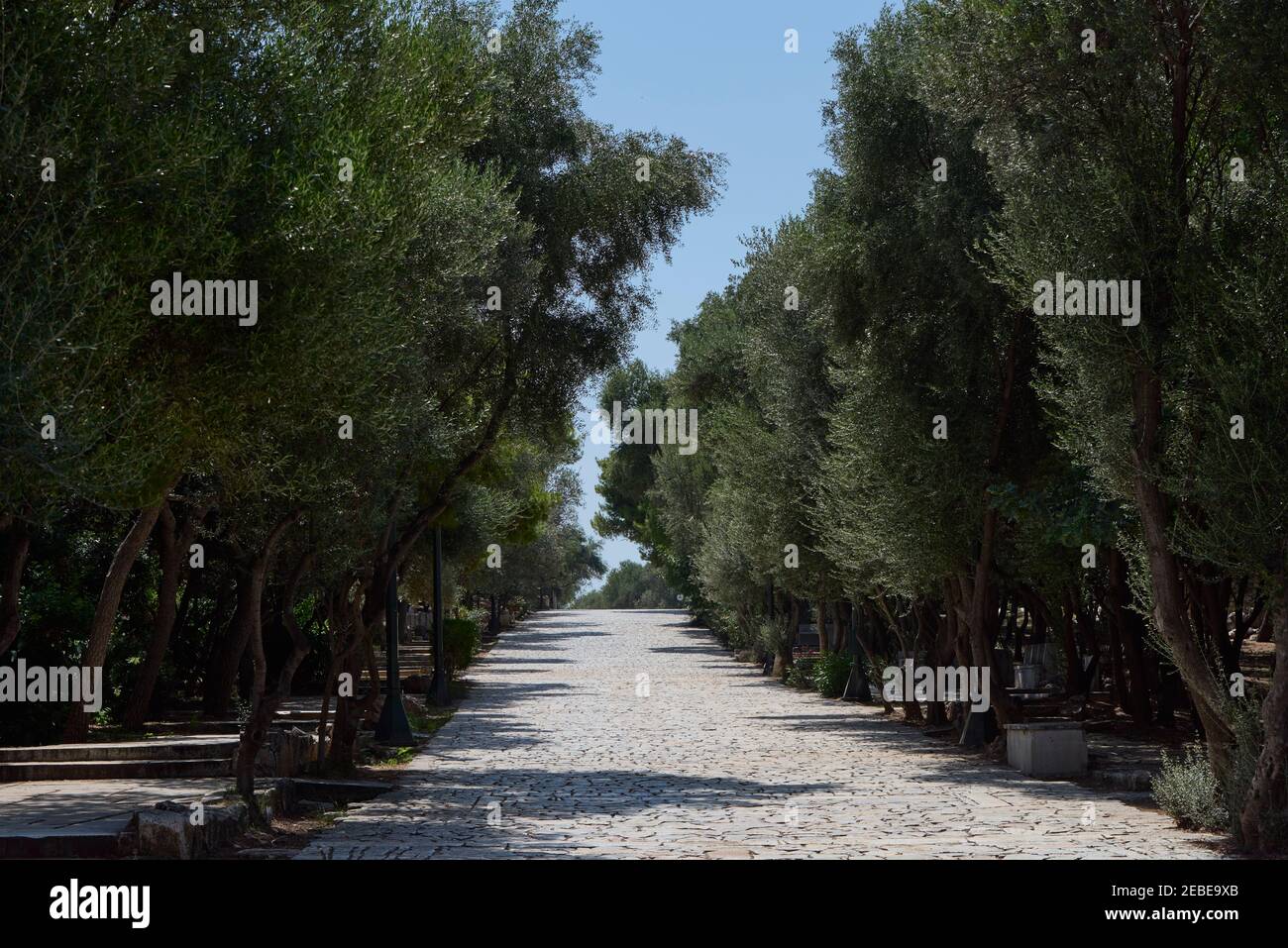 Shade trees in athens hi-res stock photography and images - Alamy